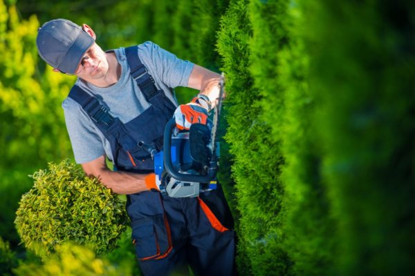 5 Surprising Reasons to Hire Landscape Contractors in DE & PA